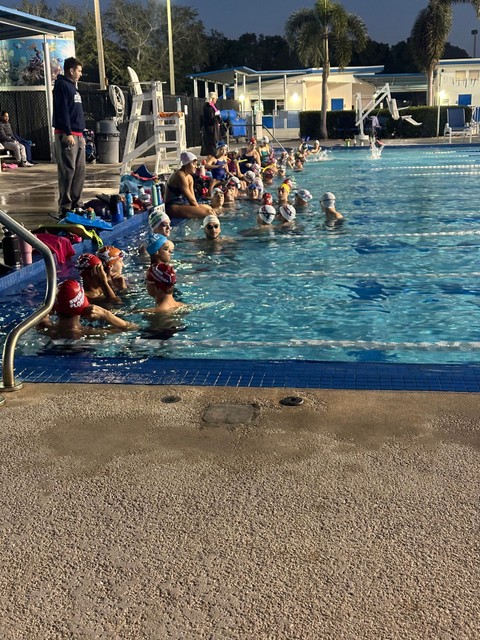 Join Swim Florida: Elite Coaching for All Ages & Abilities!